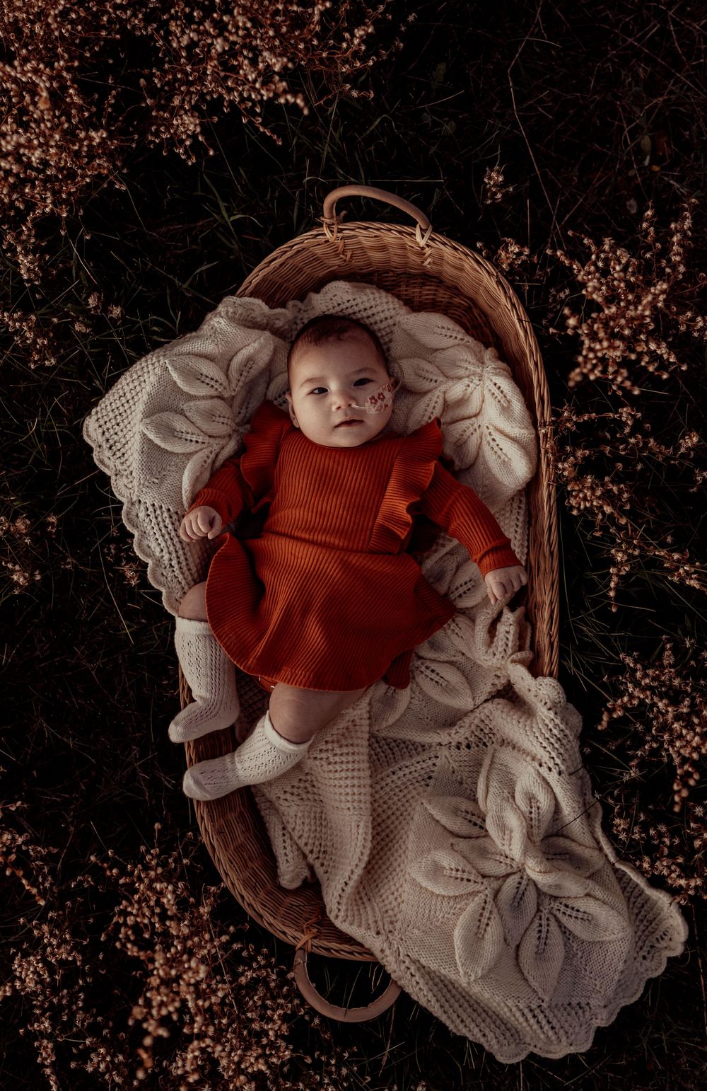 Wedding - Amy Maree Photography