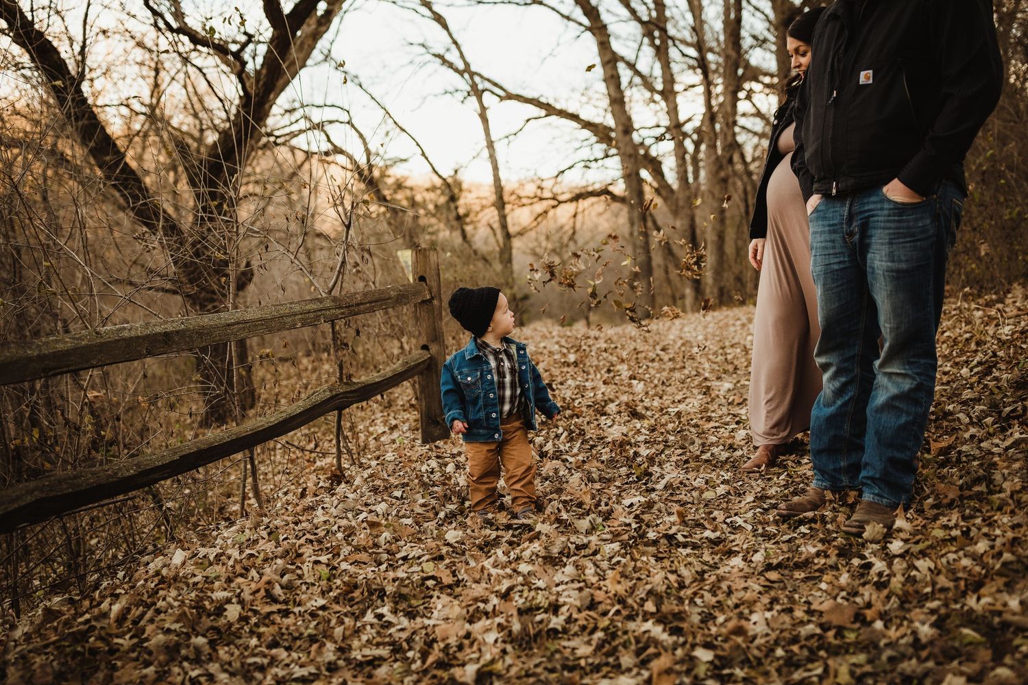 Portfolio - Tracy Pollard Photography