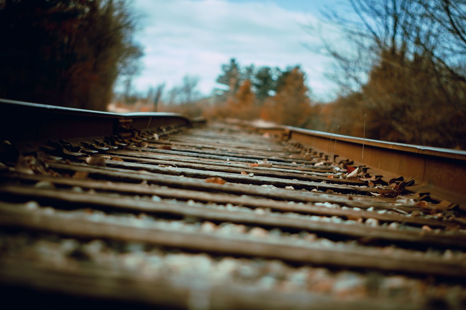 Alexander Photography