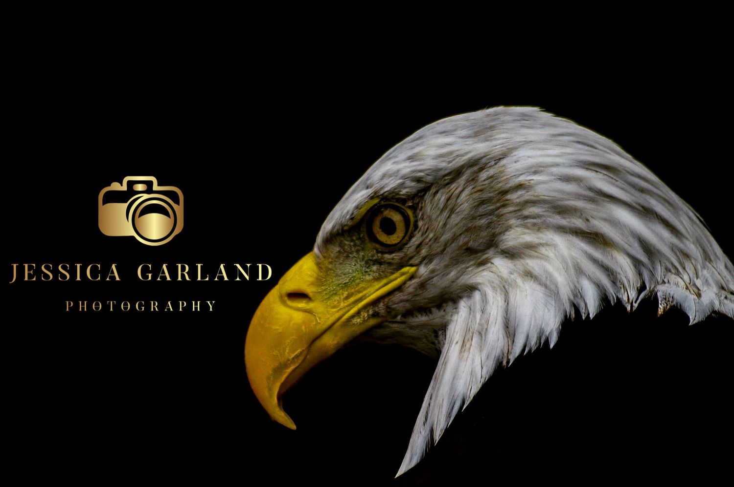 Portfolio - Jessica Garland Photography