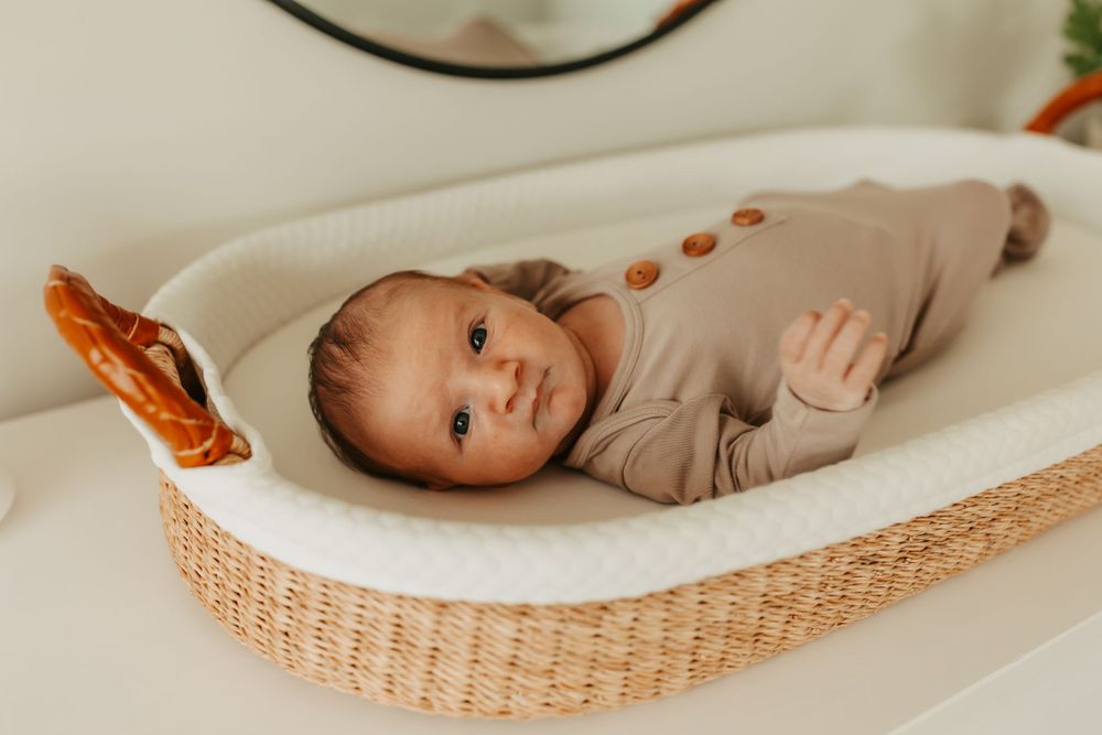 Morgan Bush Photography