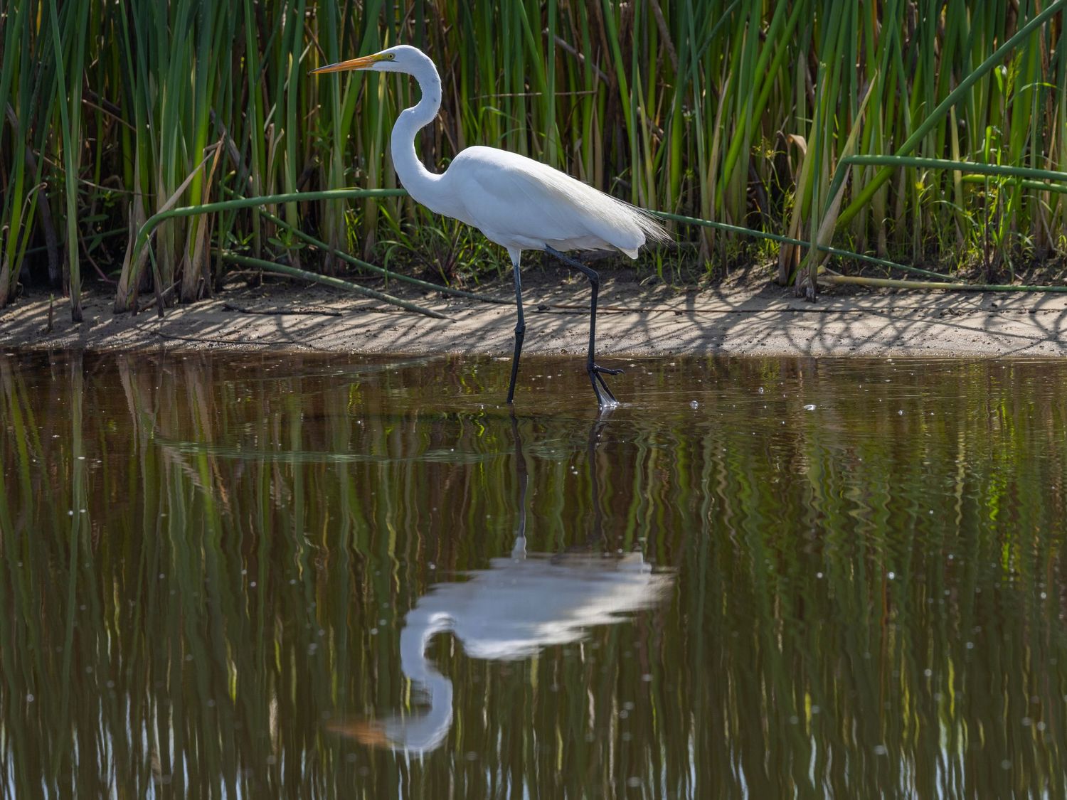 About - J. Skinner Photography