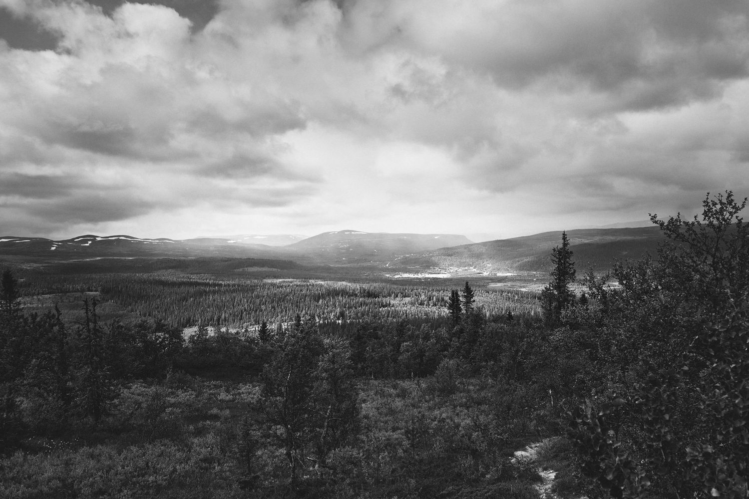 Black & white - Robert Frick