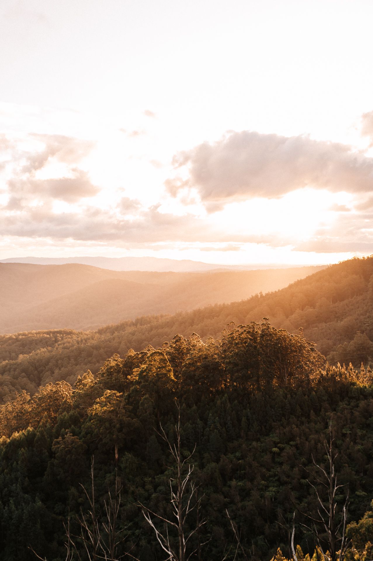 Contact - Neisha Breen Photography | Melbourne Photographer