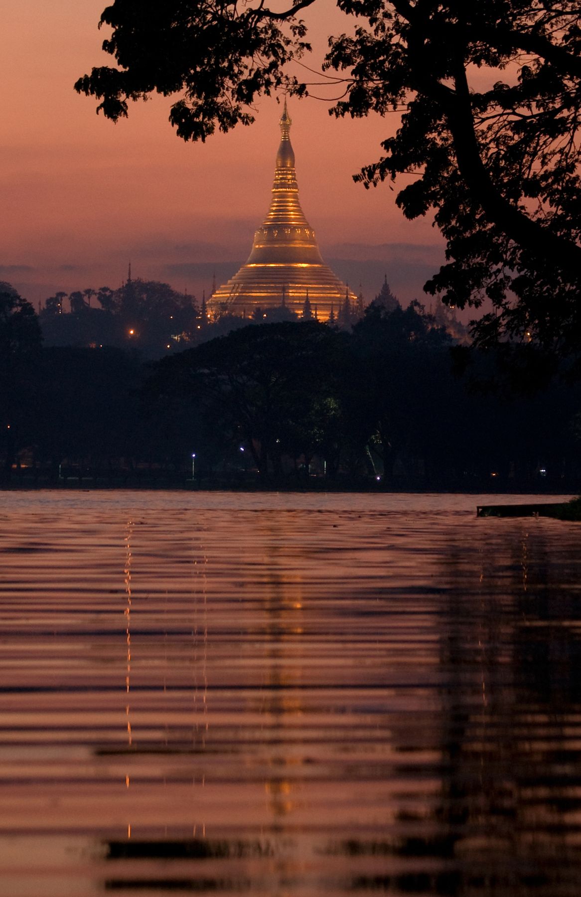 Portfolio Copy Copy - John Reilly Photography