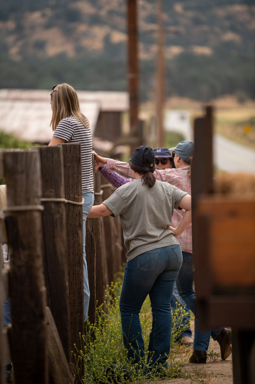 Rankin Ranch - J. Lee Photography