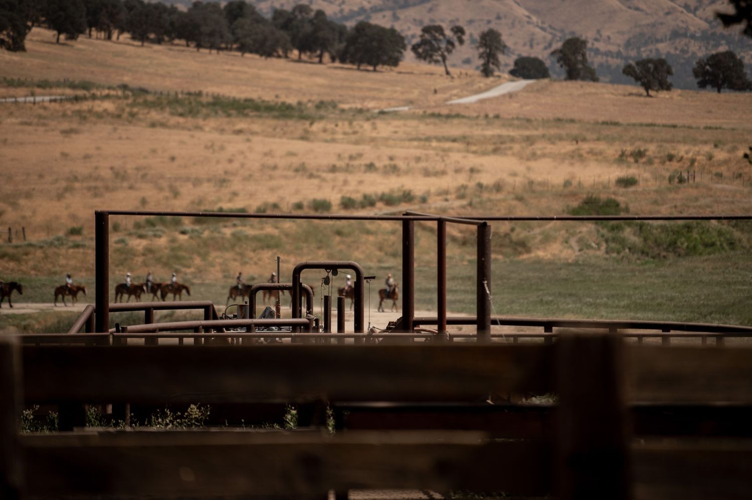 Rankin Ranch - J. Lee Photography