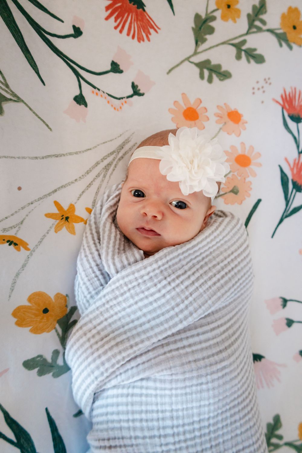 Kate Carlson Photography