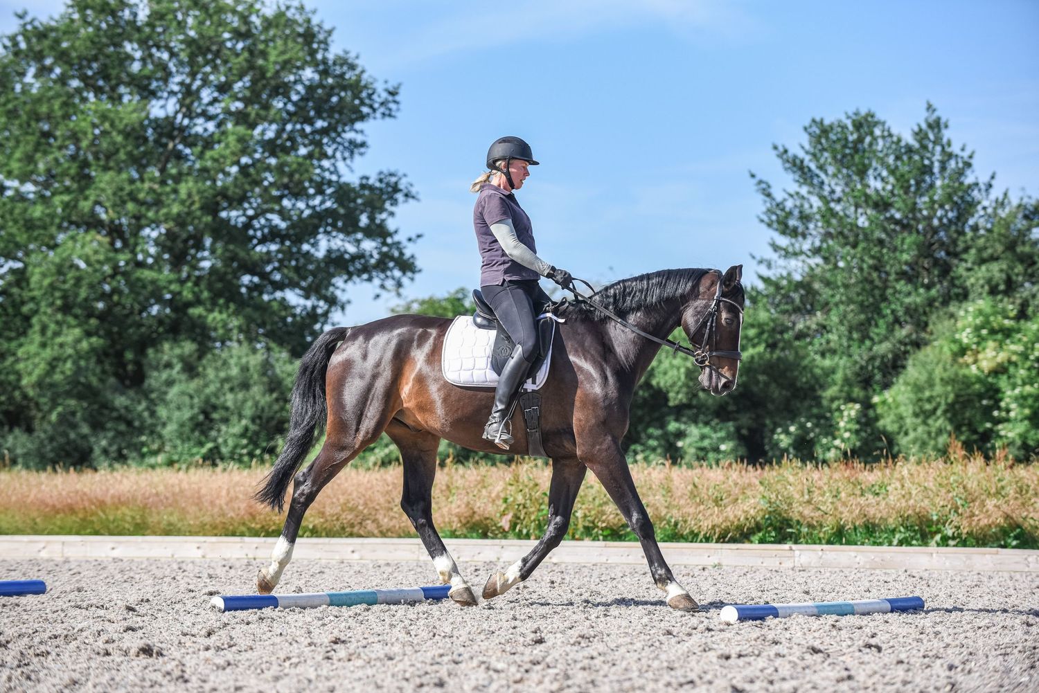 Pole work clinic with Millie McBride at Clements End Farm Livery, Hertfordshire - Holly ...