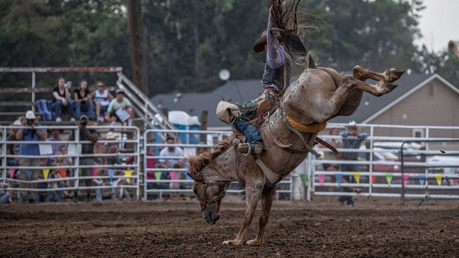 Rodeo - Tim Schmidt Photo