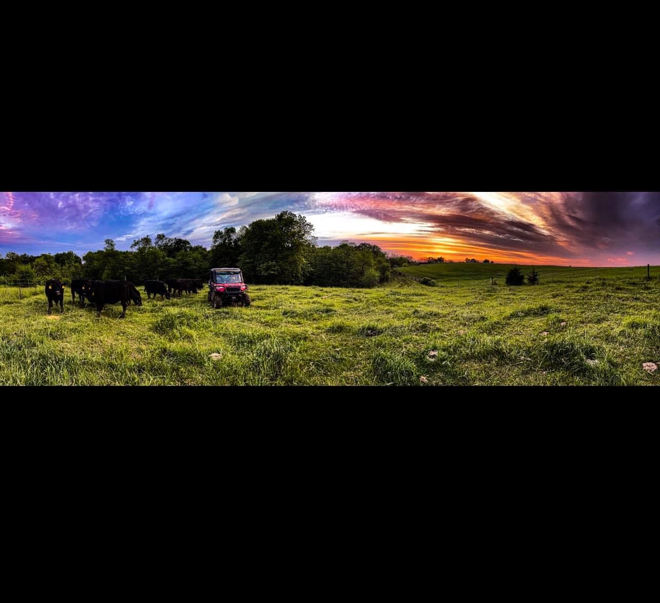 About - Presley Kay Photography