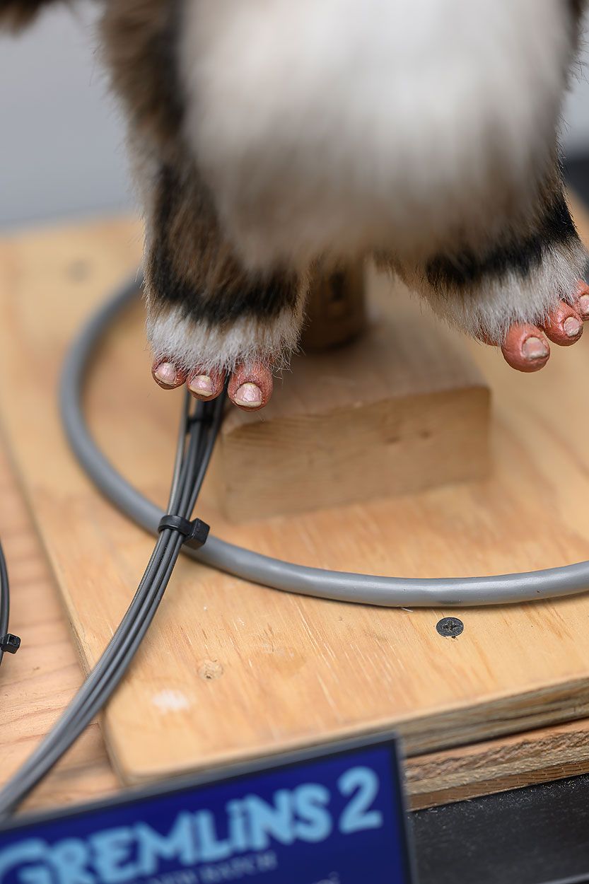 Lenny "Tongue" Mogwai Movie Prop - The Gremlins Museum