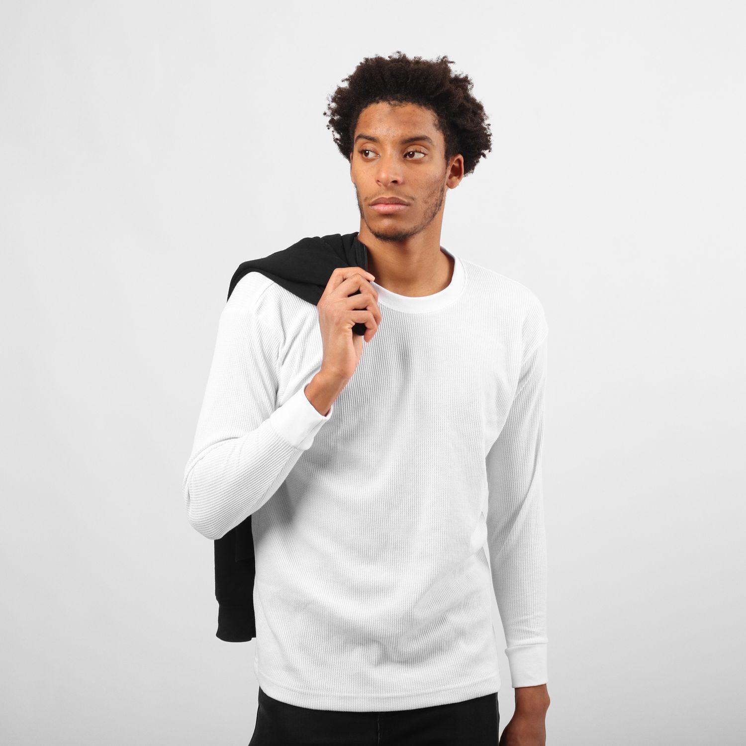 Investment - Moody Studios