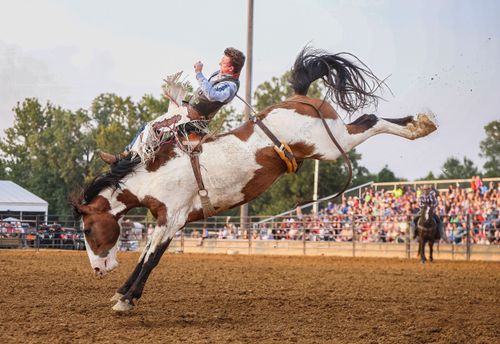 Wild Rodeo Photography