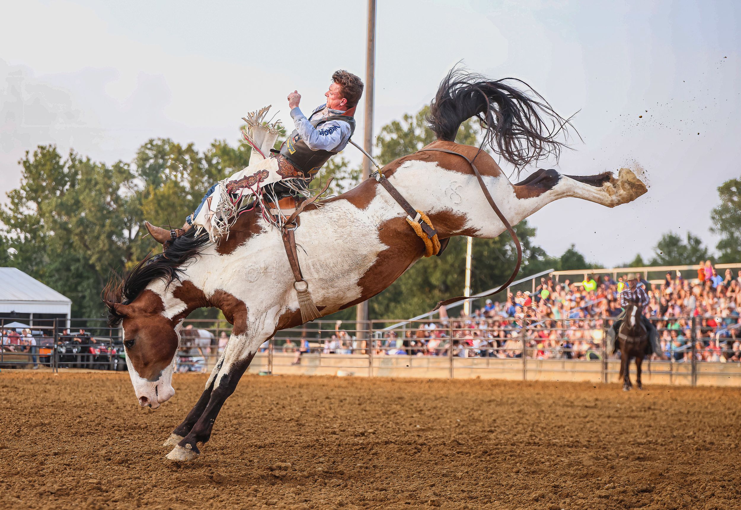 Wild Rodeo Photography