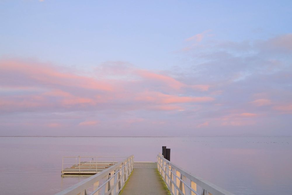 San Pablo Bay National Wildlife Refuge - Lindsay Kuehne