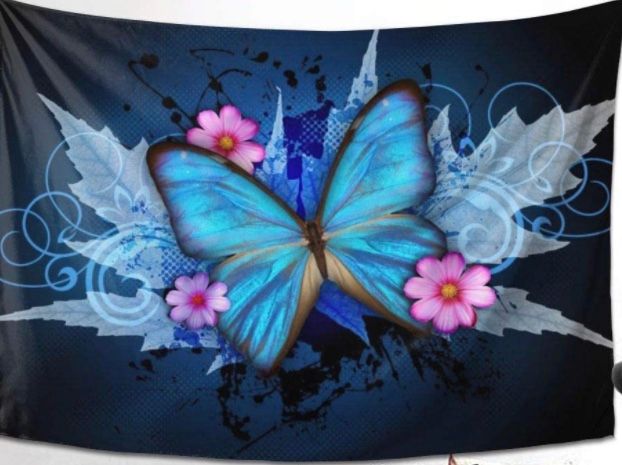 Studio Themes - Woodstock & Metro-Atlanta Photographer - Jessica Bauer ...