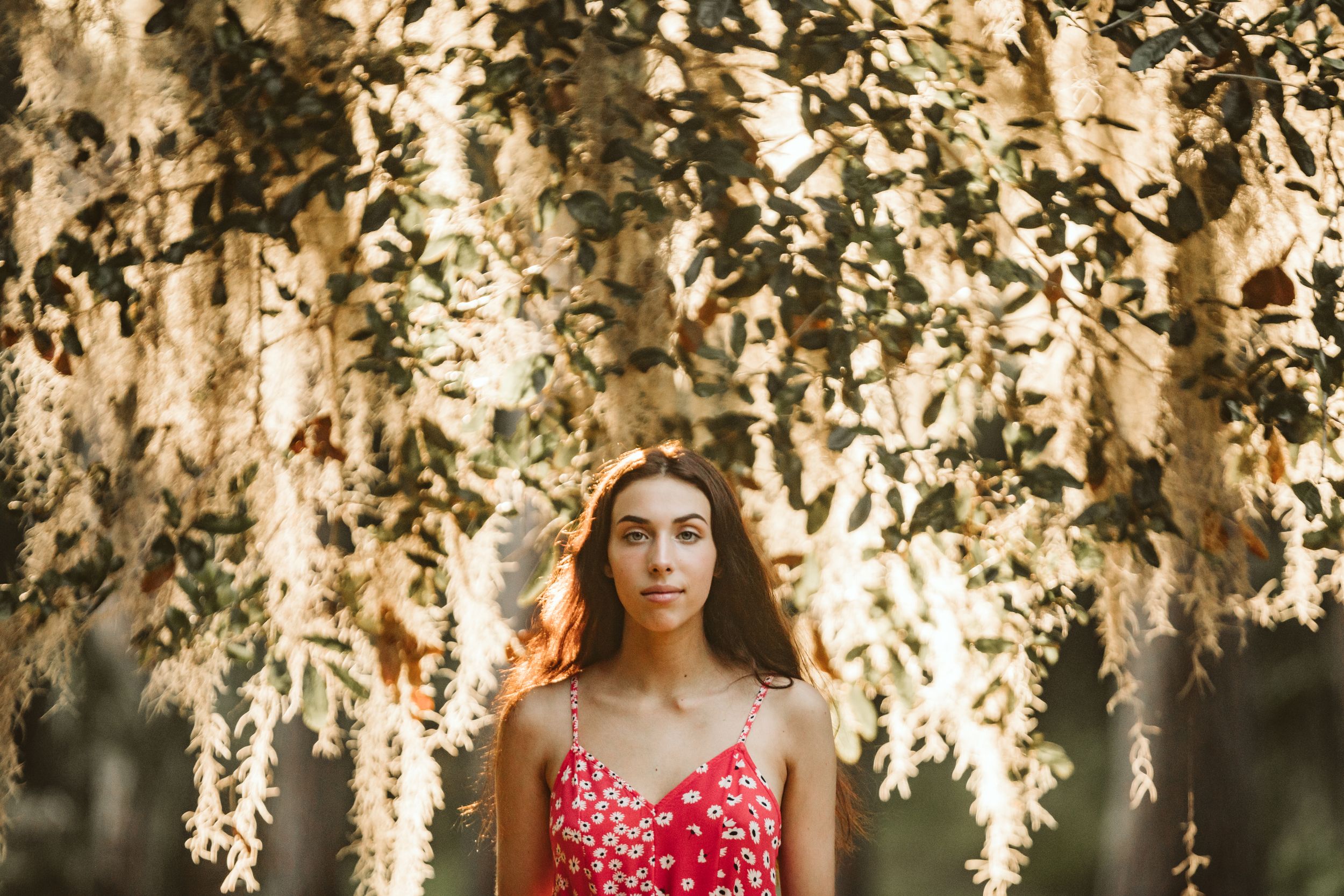 Engagement & Lifestyle - Alexis Sweet Photography