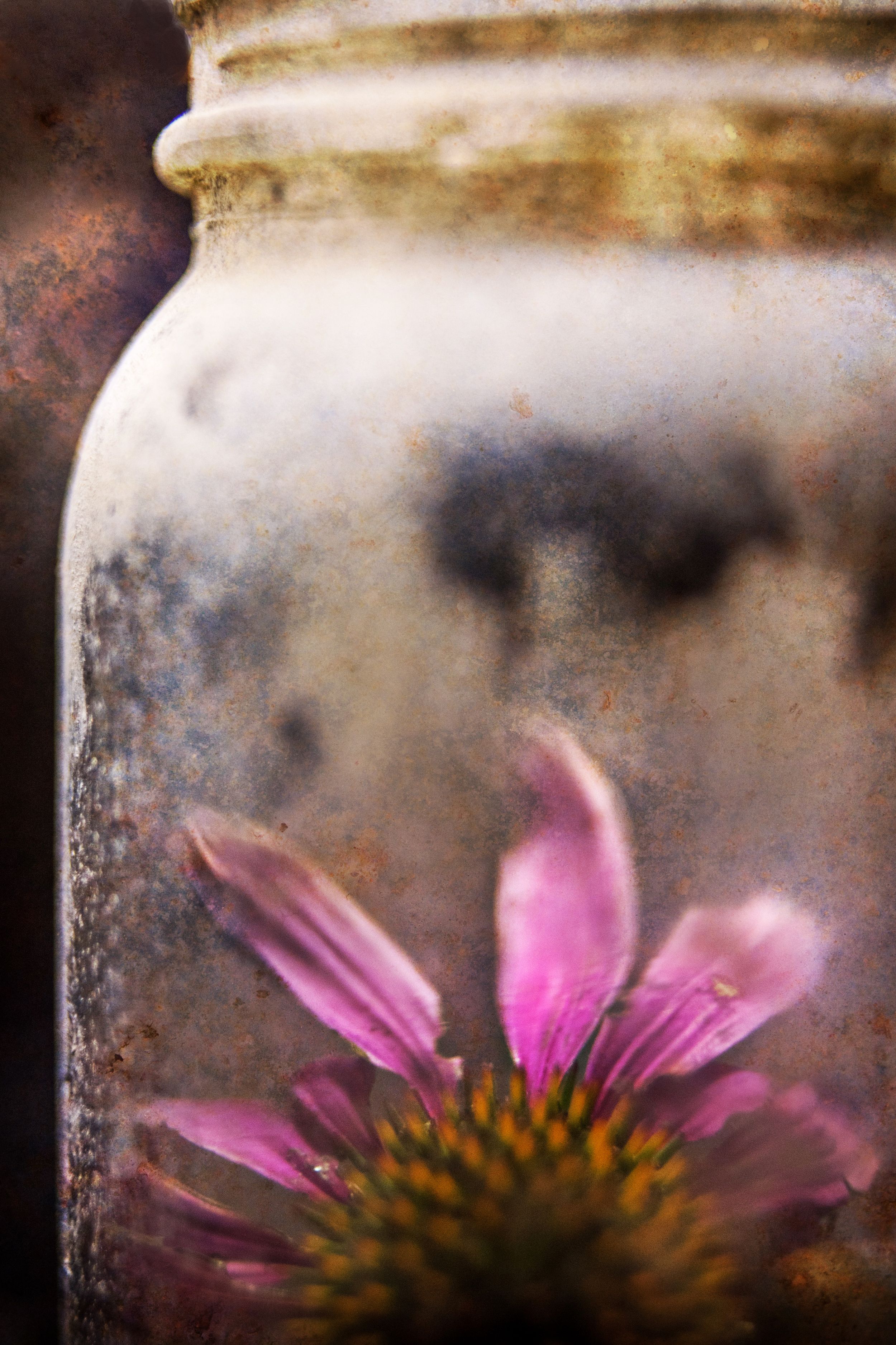 Jeff Reeder Photography