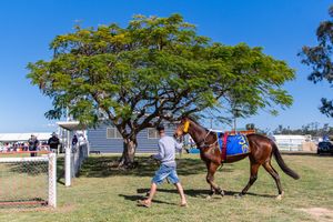 Country Race Day - Middlemount 2022 - Kim Deluca Photography