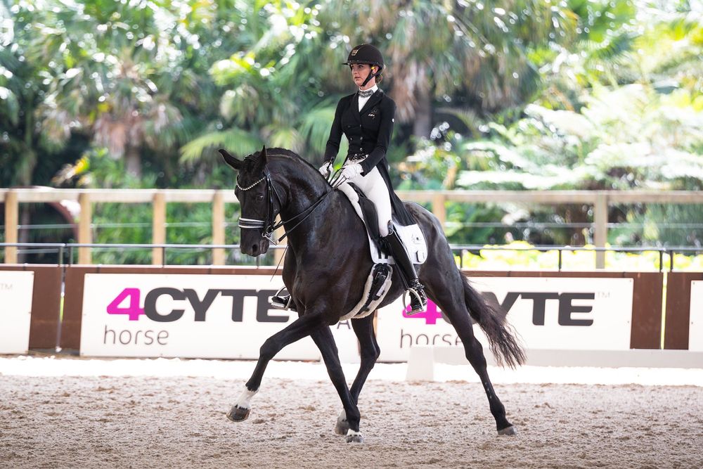 Simon Scully Photography