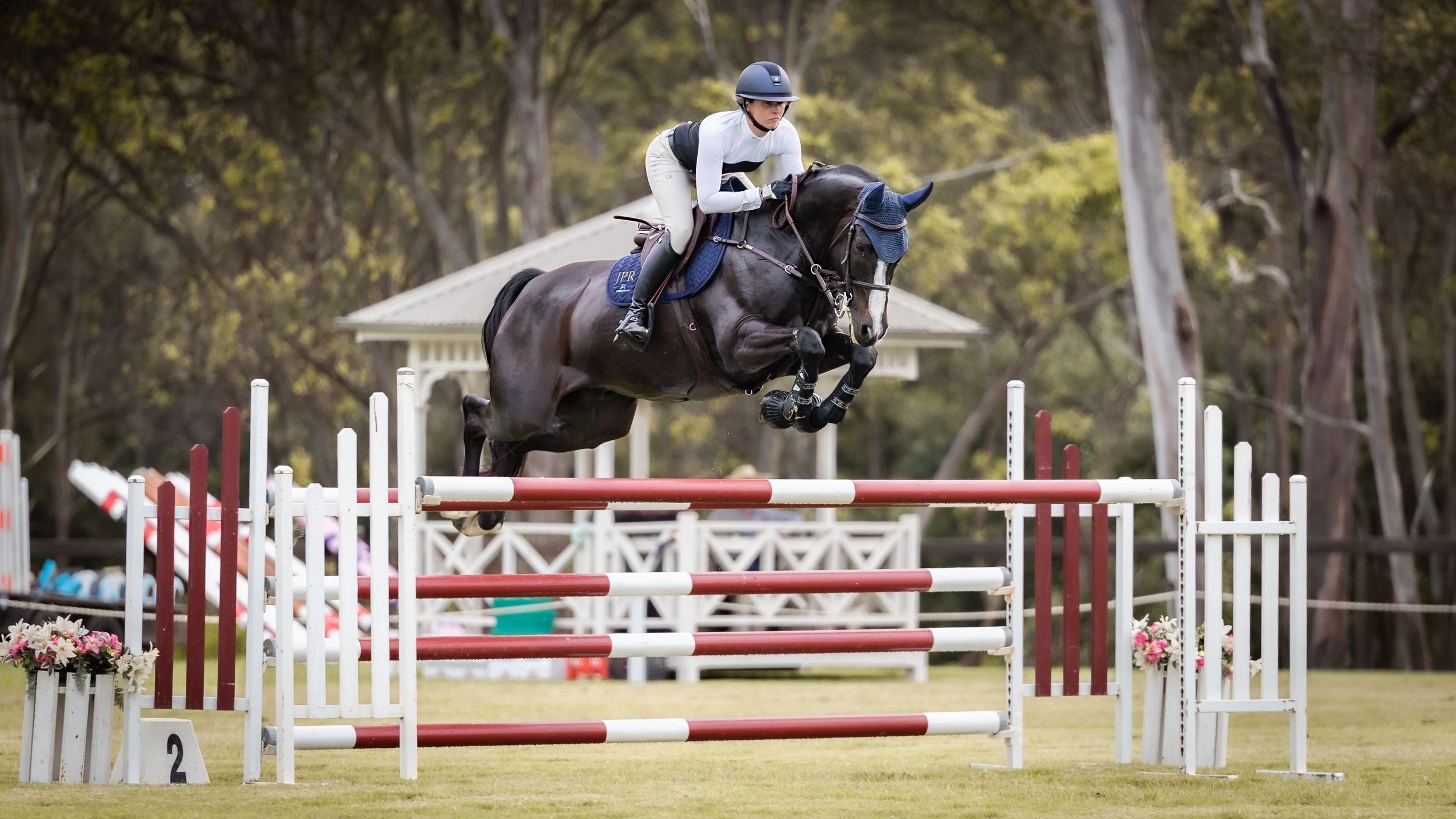 Simon Scully Photography