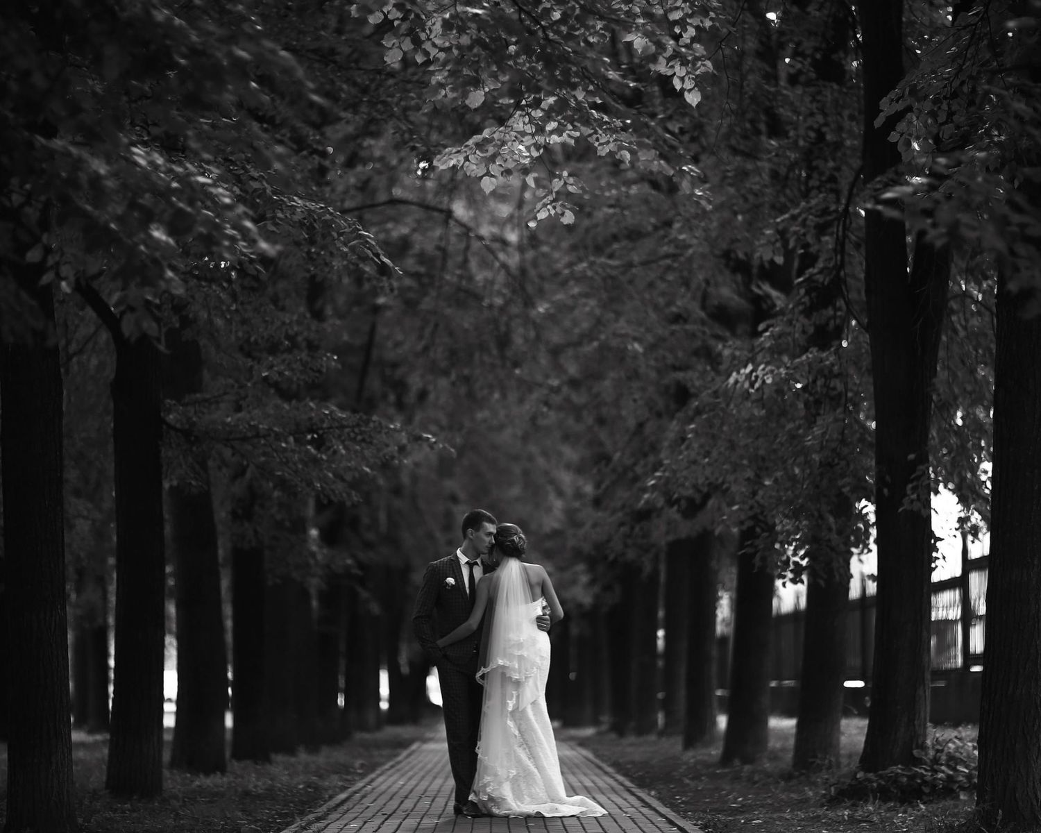 Portfolio - Shima Productions