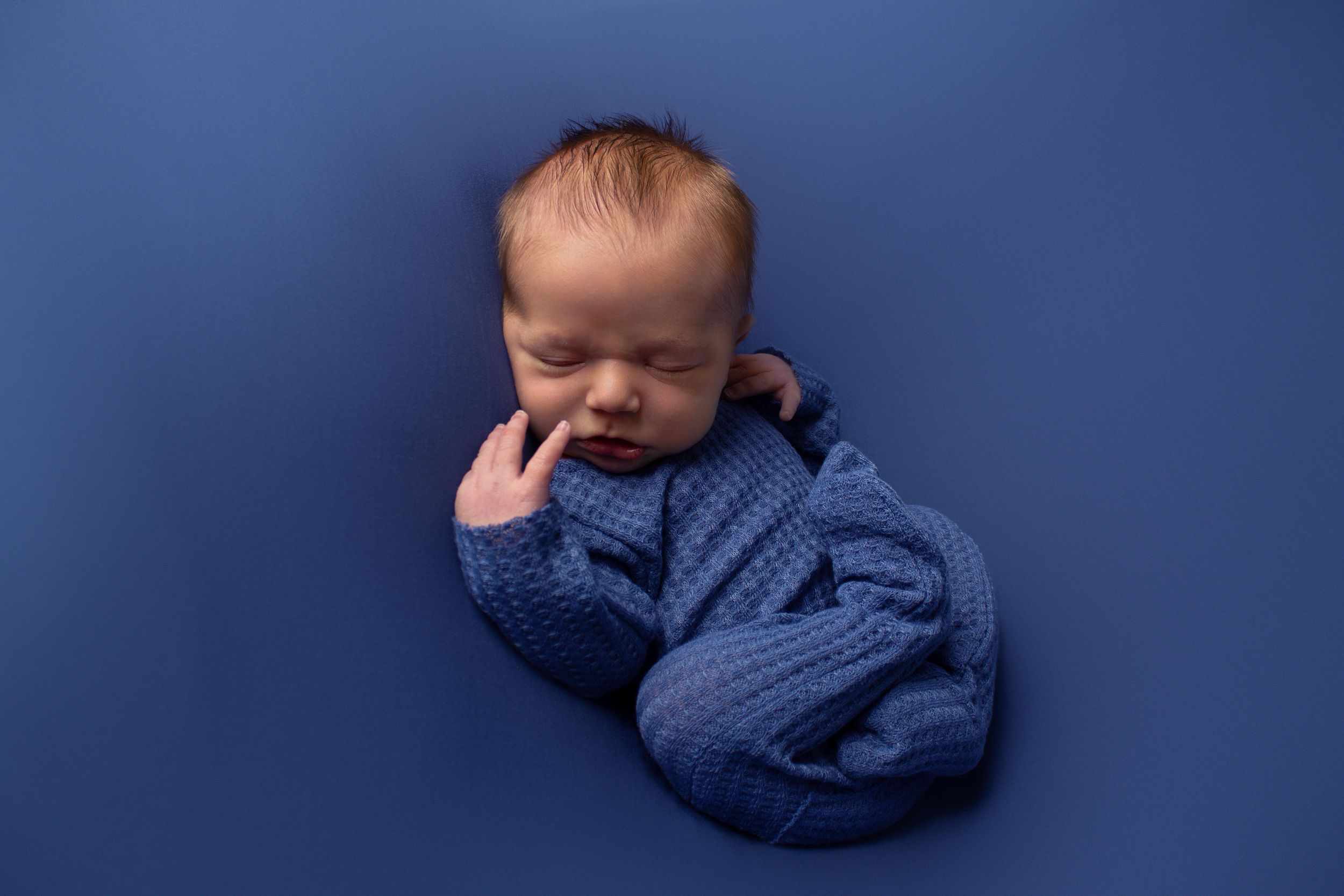 Beanie Bear Photography- Minot Newborn and Milestone Photographer