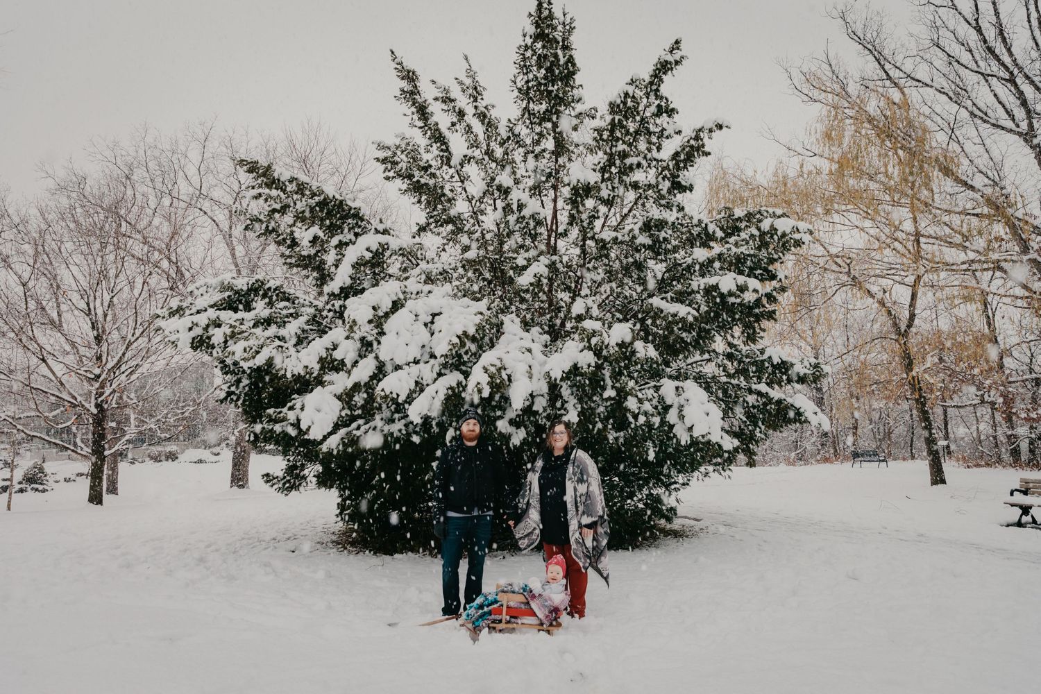 Faces - Colin Wilcocks