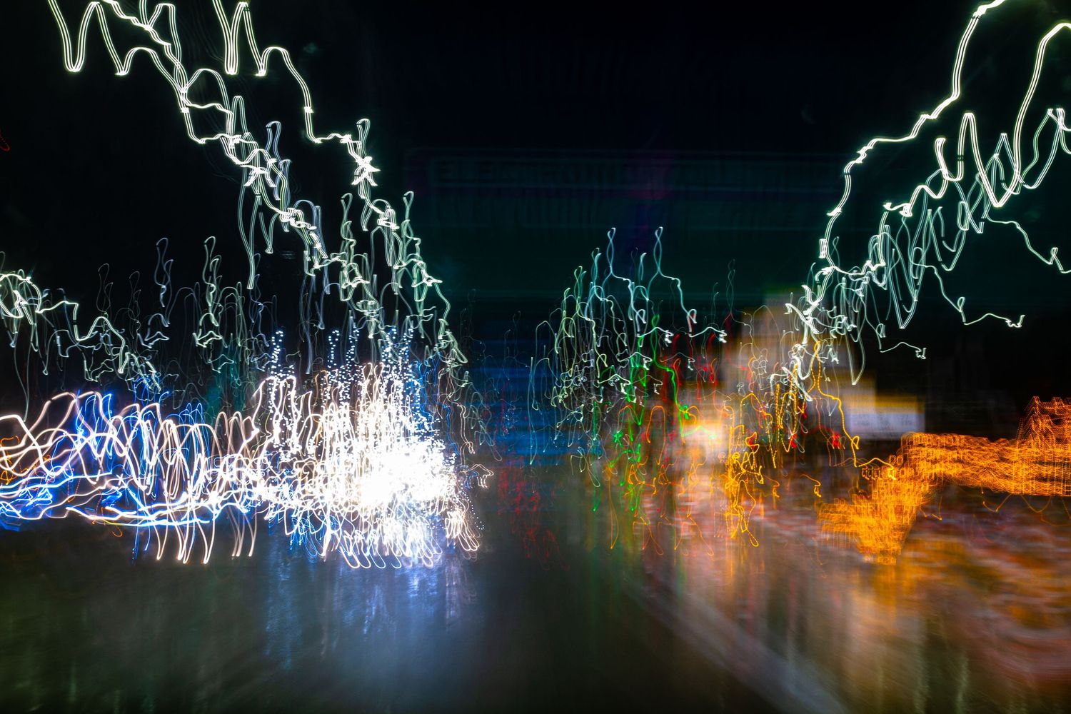 New World Vision Photography