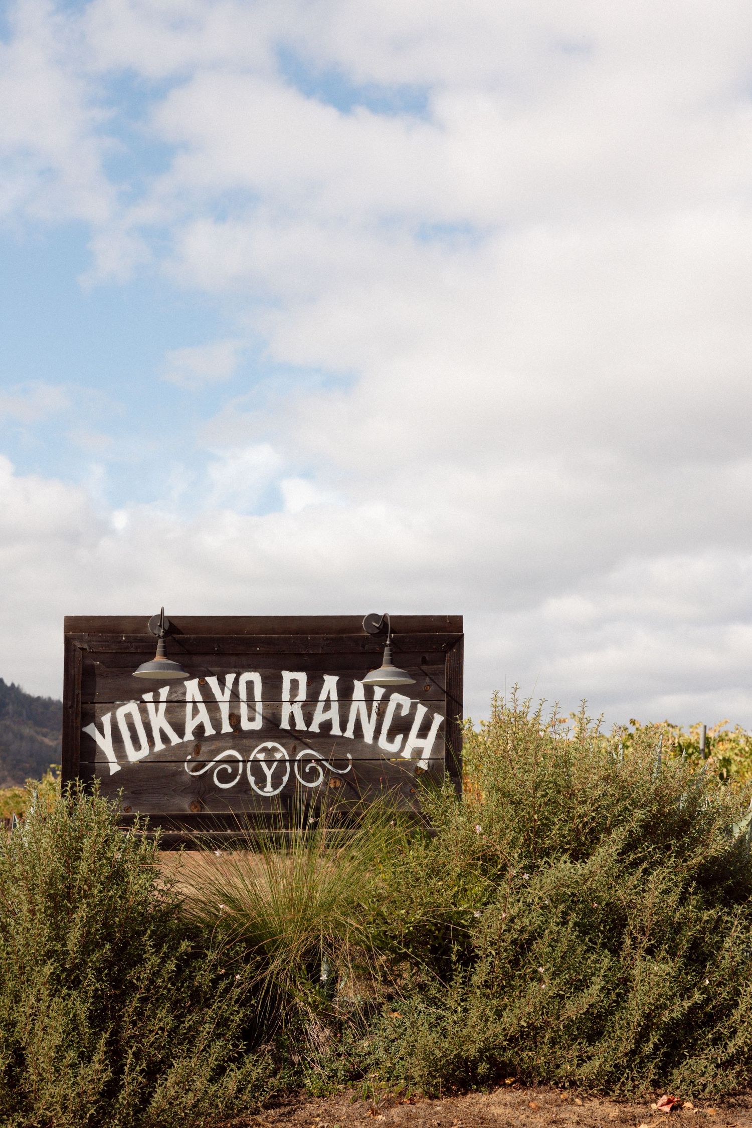 Daniella + Tracy Yokayo Ranch - Lauren Riane Photo