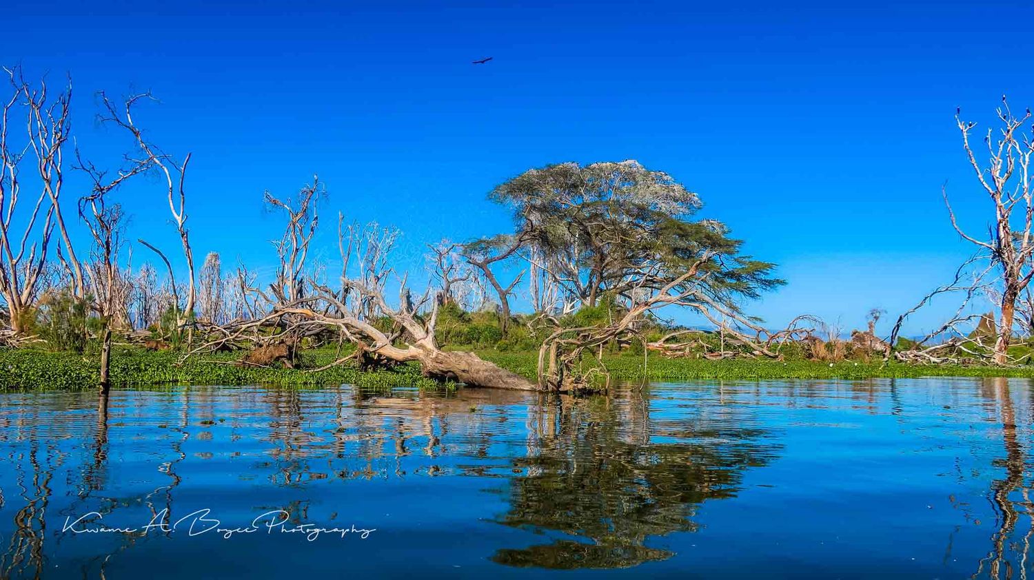 Crescent Island - kwameBphotos
