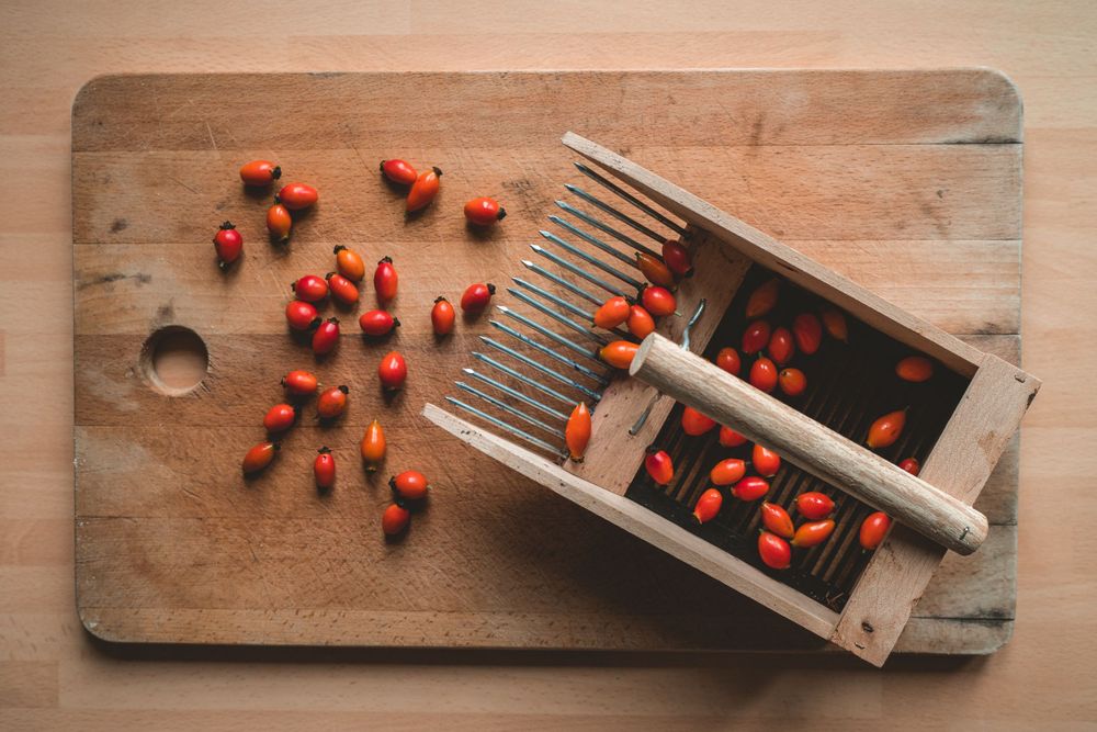 Foraging Equipment Essentials - The Grizzly Forager: The Definitive ...