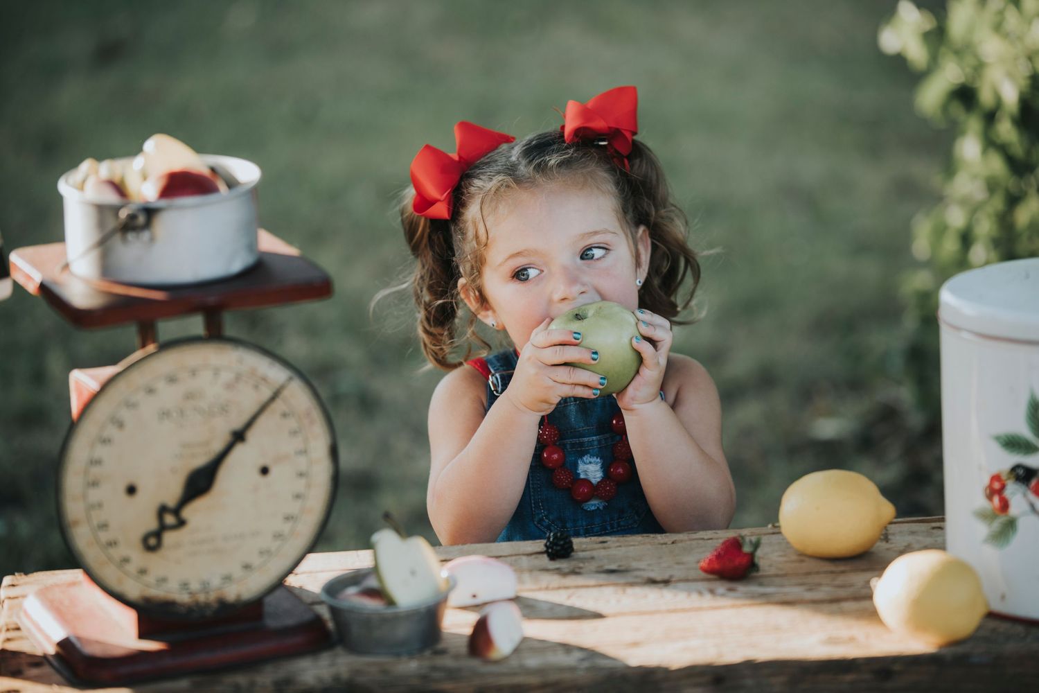 Amanda Mitchell Photography