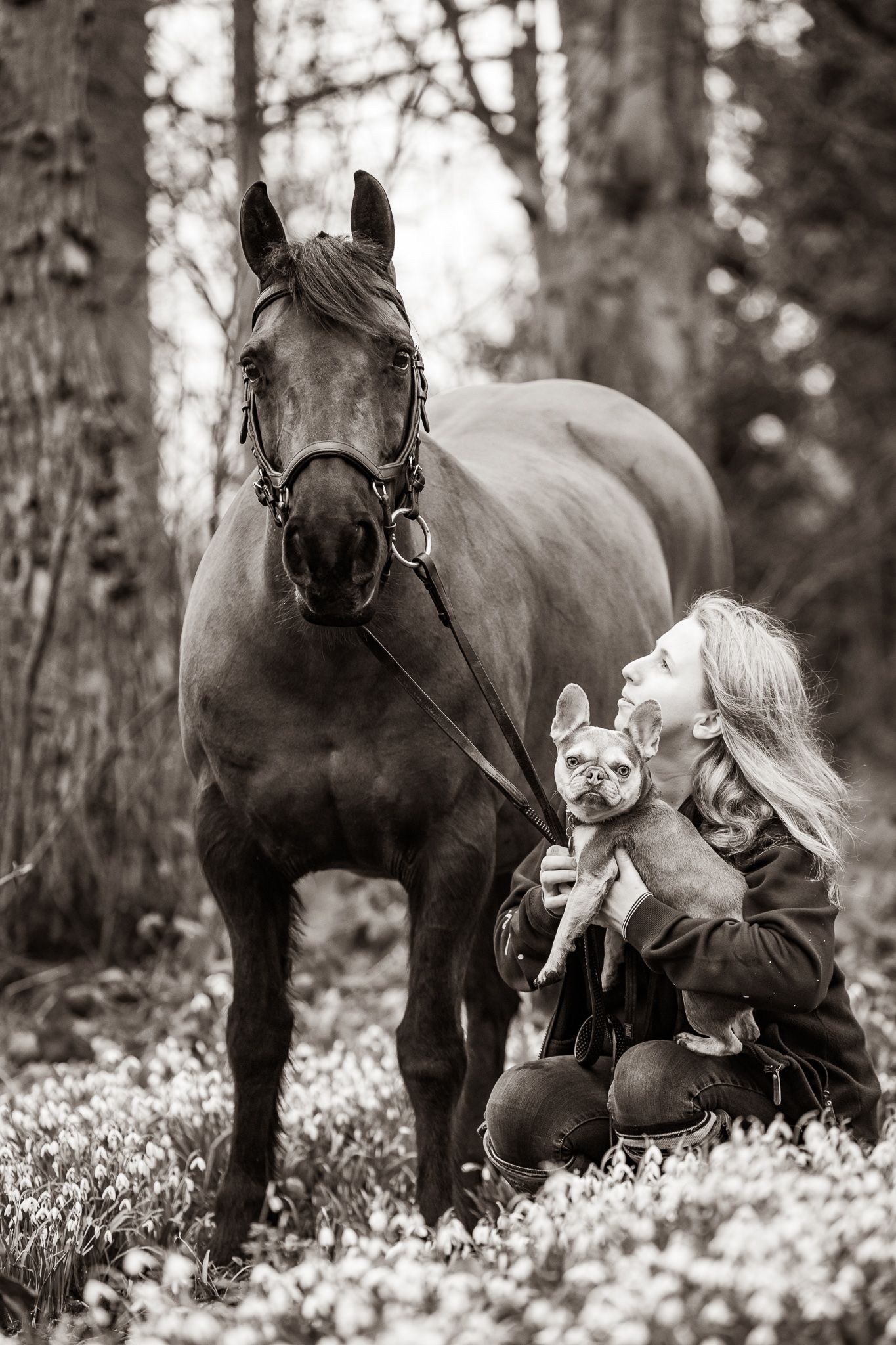 Emma, Scarlett & Maddie - Imogen Moon ABIPP - Equine & Dog Photographer ...