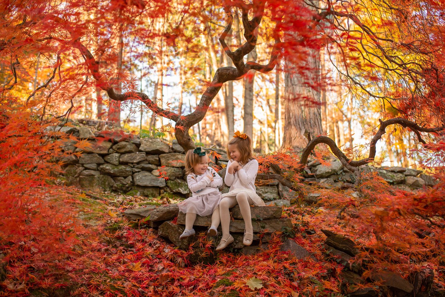 Paper Crane Photography