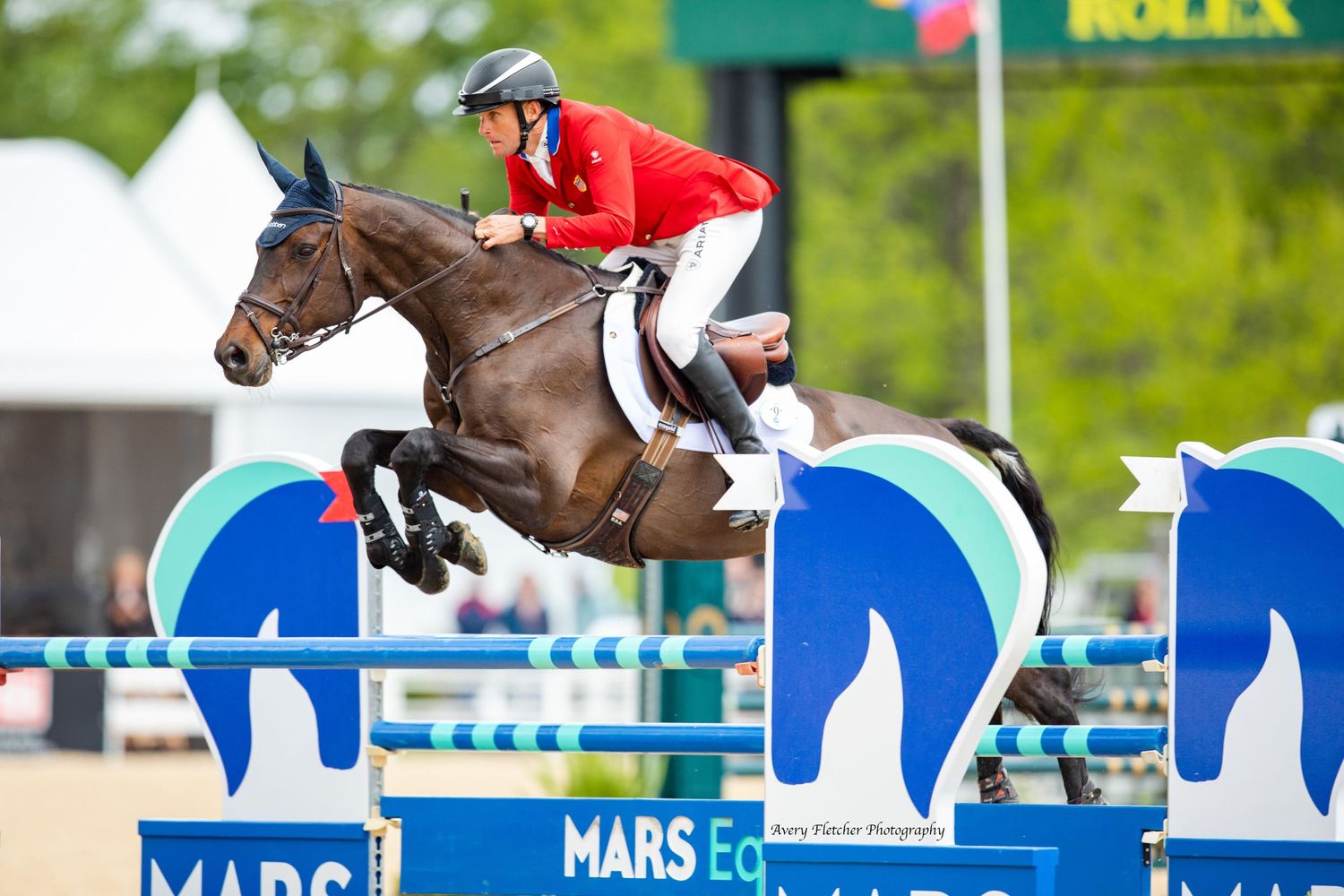 Horse Shows - Avery Fletcher Photography