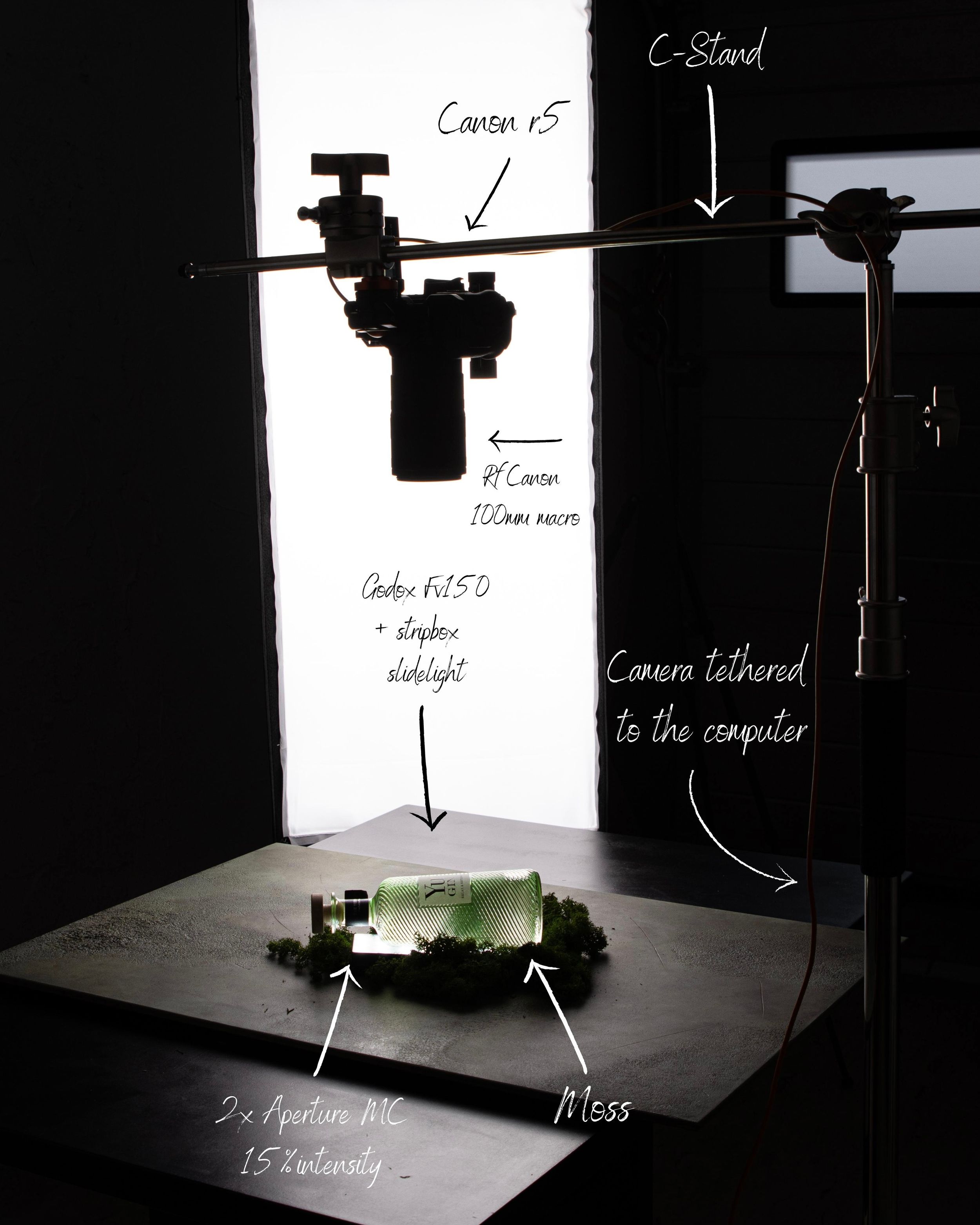 Let's Talk About The Cost Of A Pro Photo - Three Pod Studio