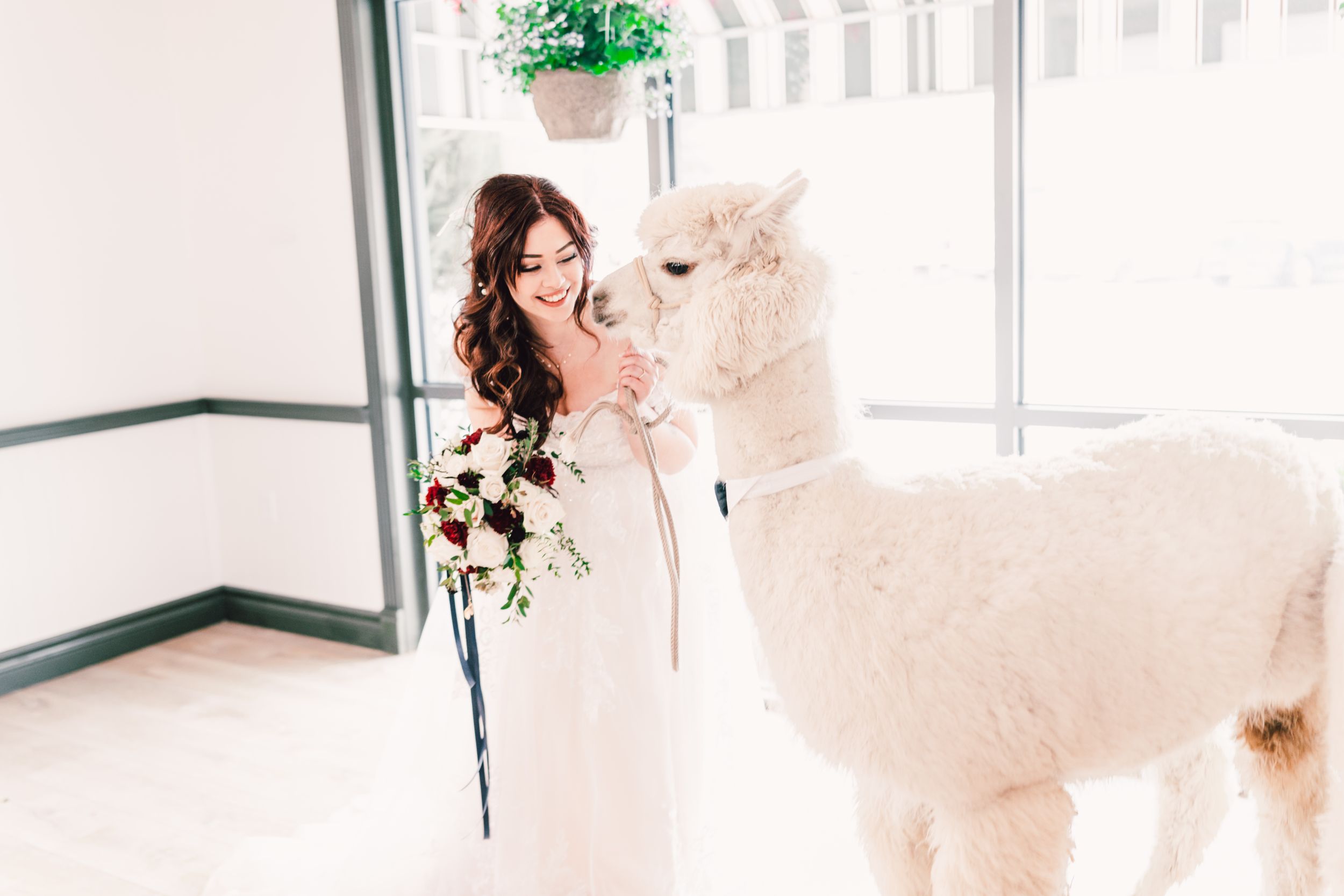 Jessica + Roddy Alpaca Wedding - Peppergrass Ranch