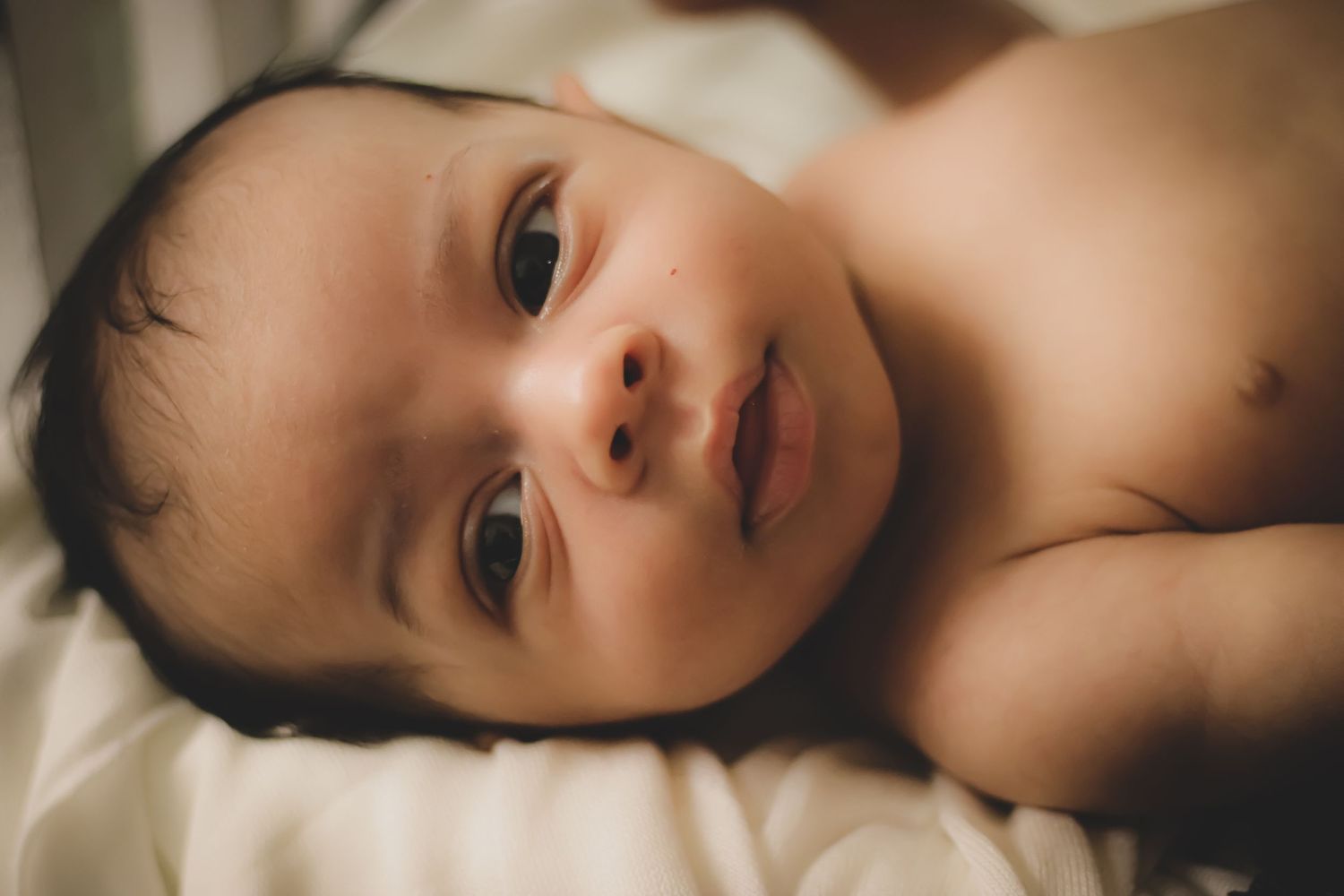 Investment - Two Gifted Photography