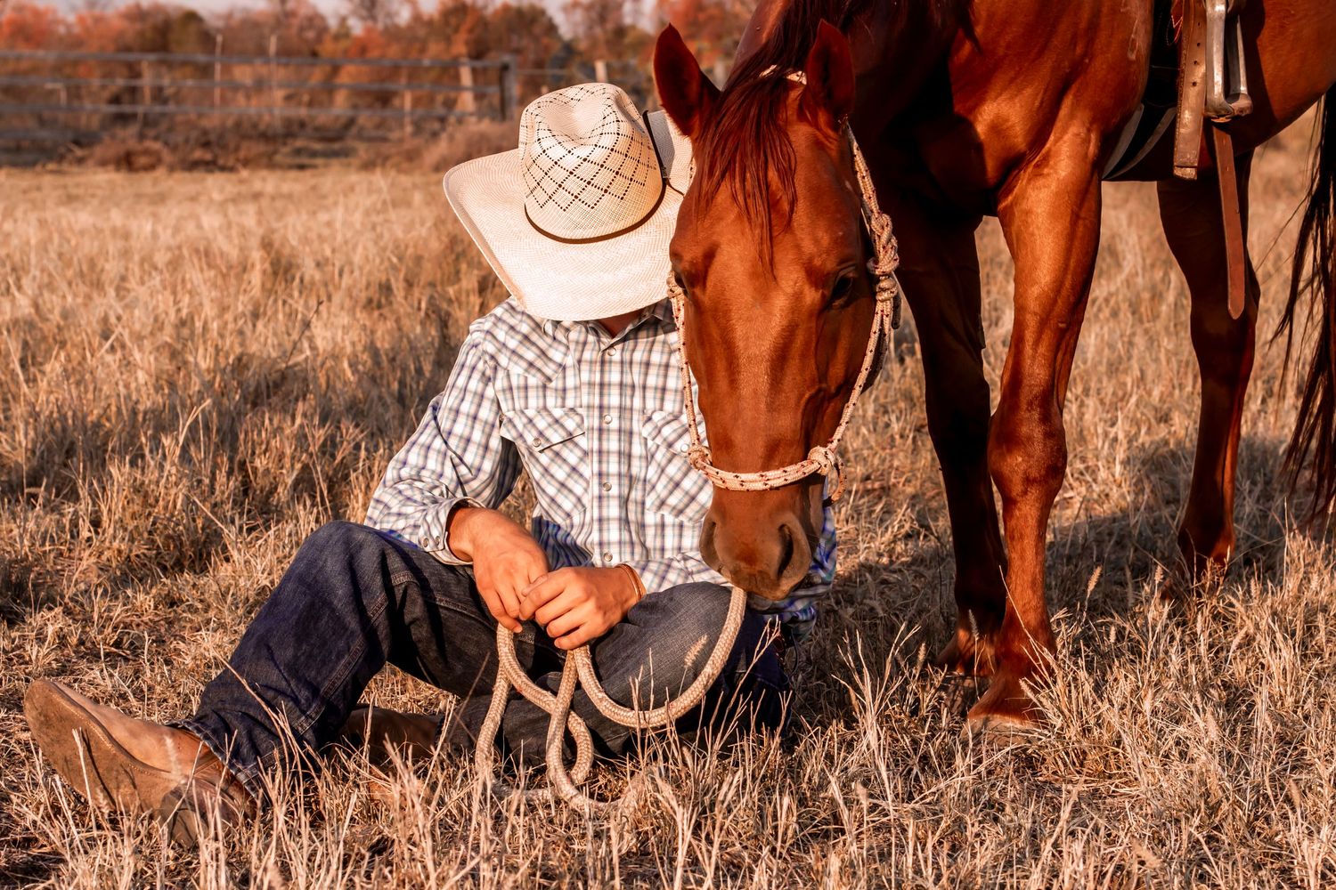 Personal Photography - Song Bird Creative