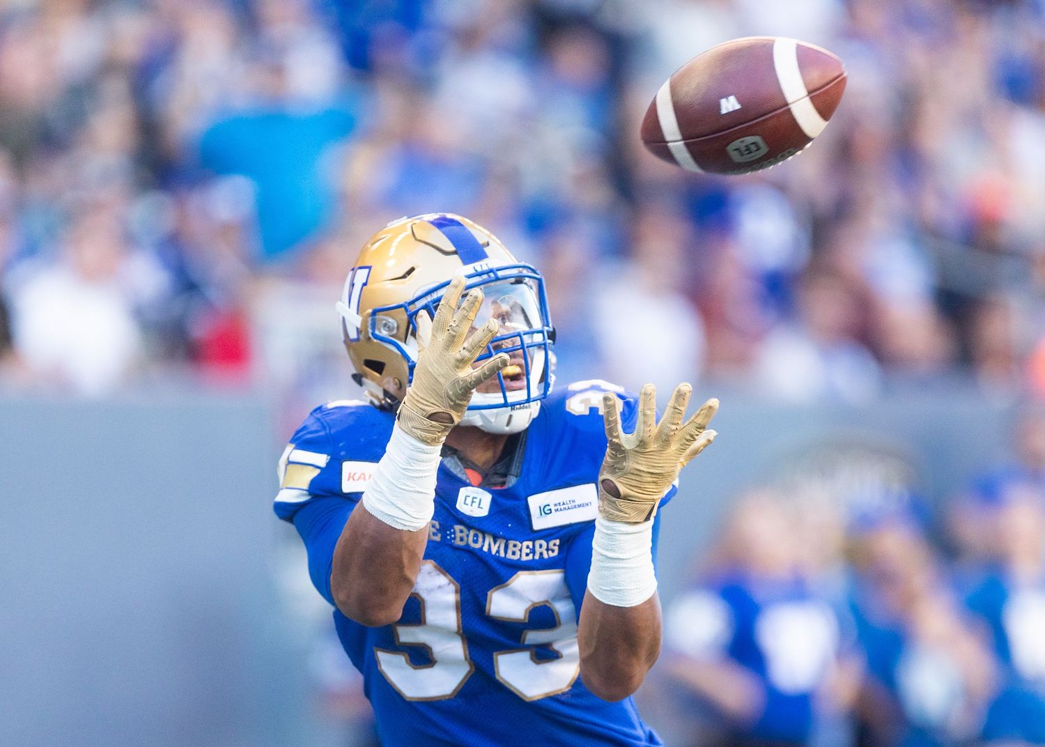 Sasha Sefter Photography