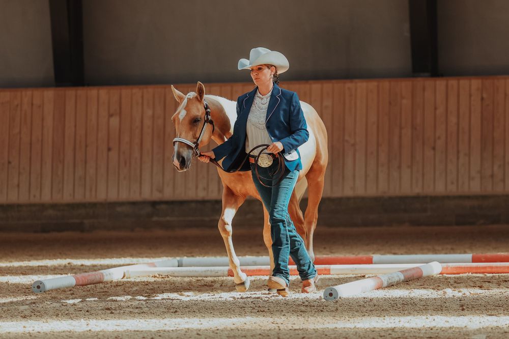Dive with me into the western riding world - Anna Archinger | Horse ...