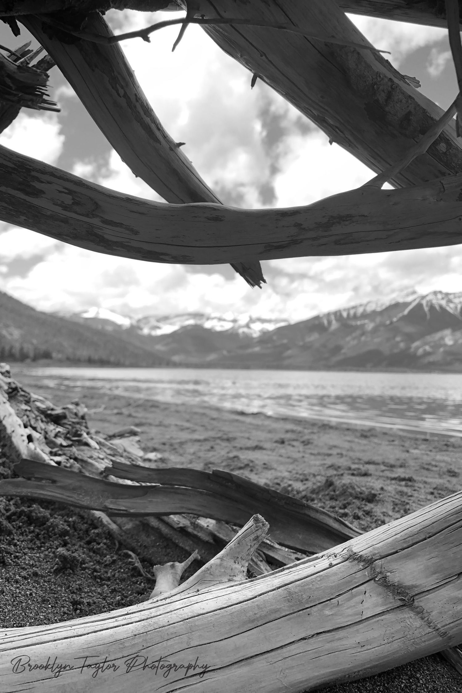 Shutter Up Jr. - Shutter Up Magazine