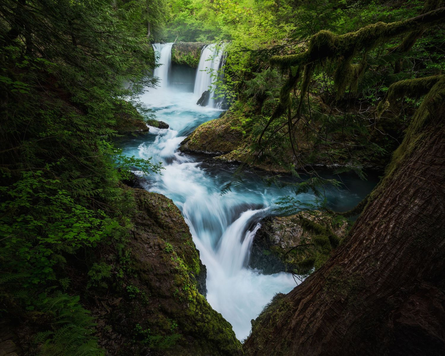 Mitch Boeck's Photography