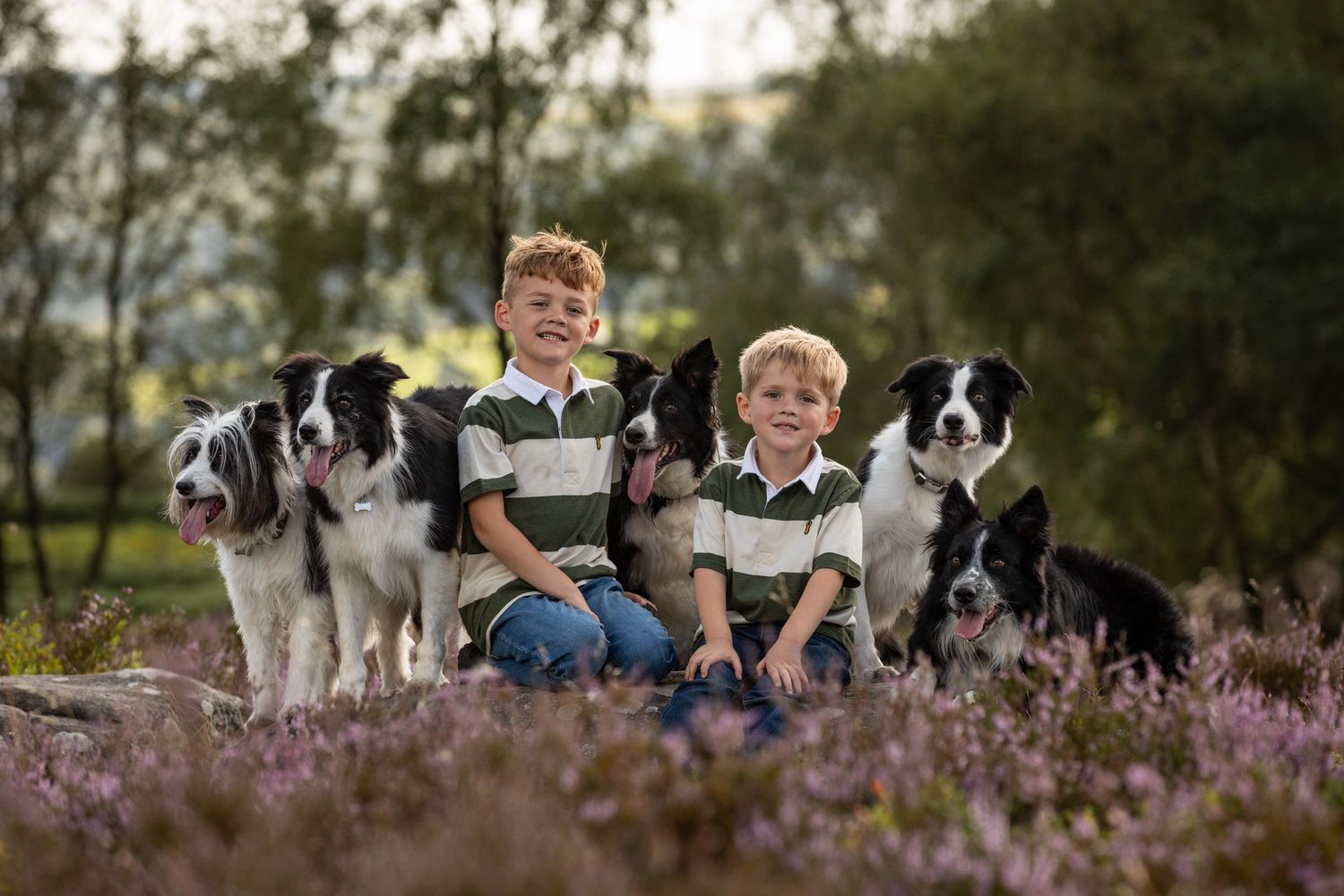 The Harris Family - Imogen Moon ABIPP - Equine & Dog Photographer In ...