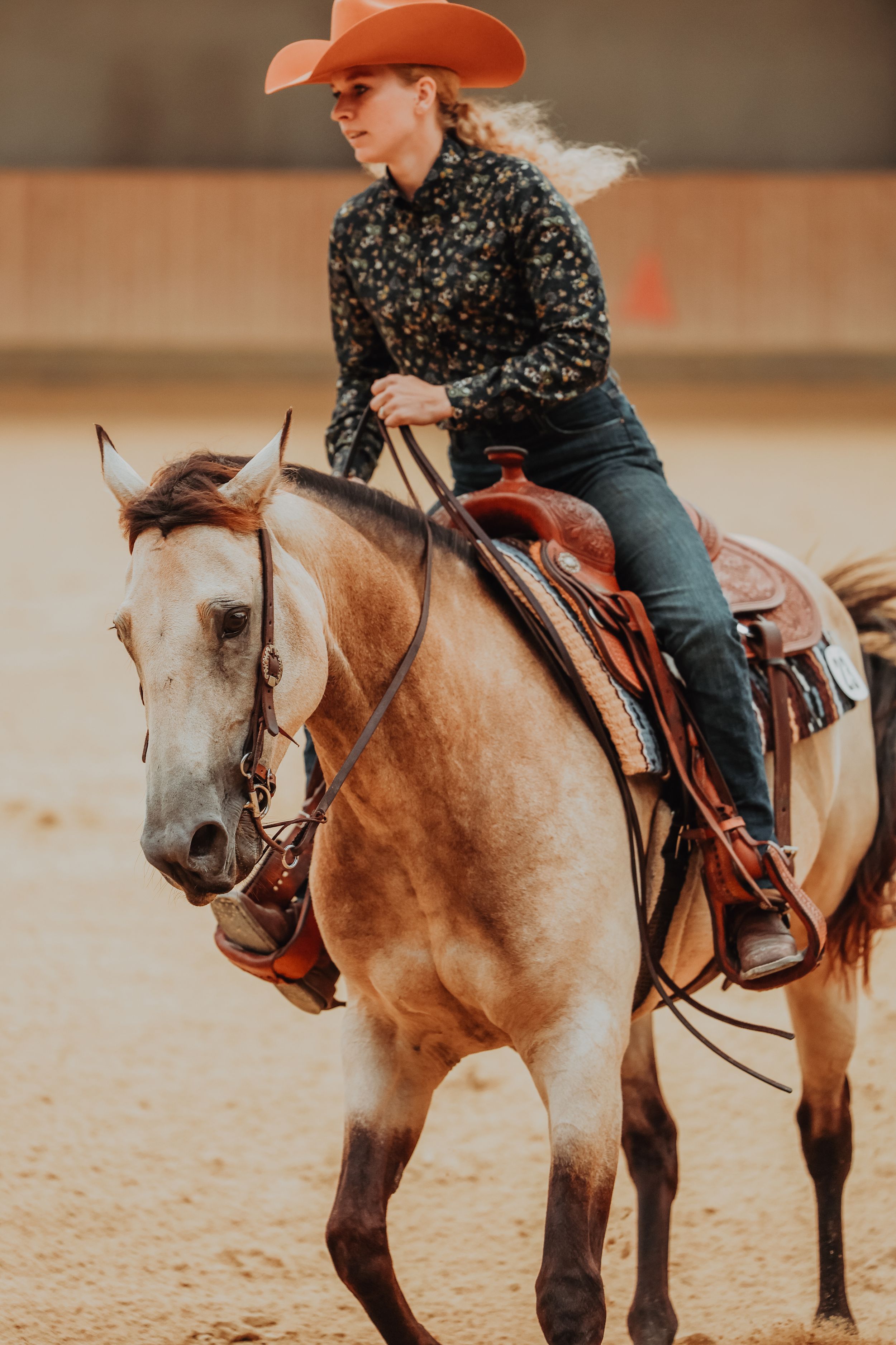 Dive with me into the western riding world - Anna Archinger | Horse ...