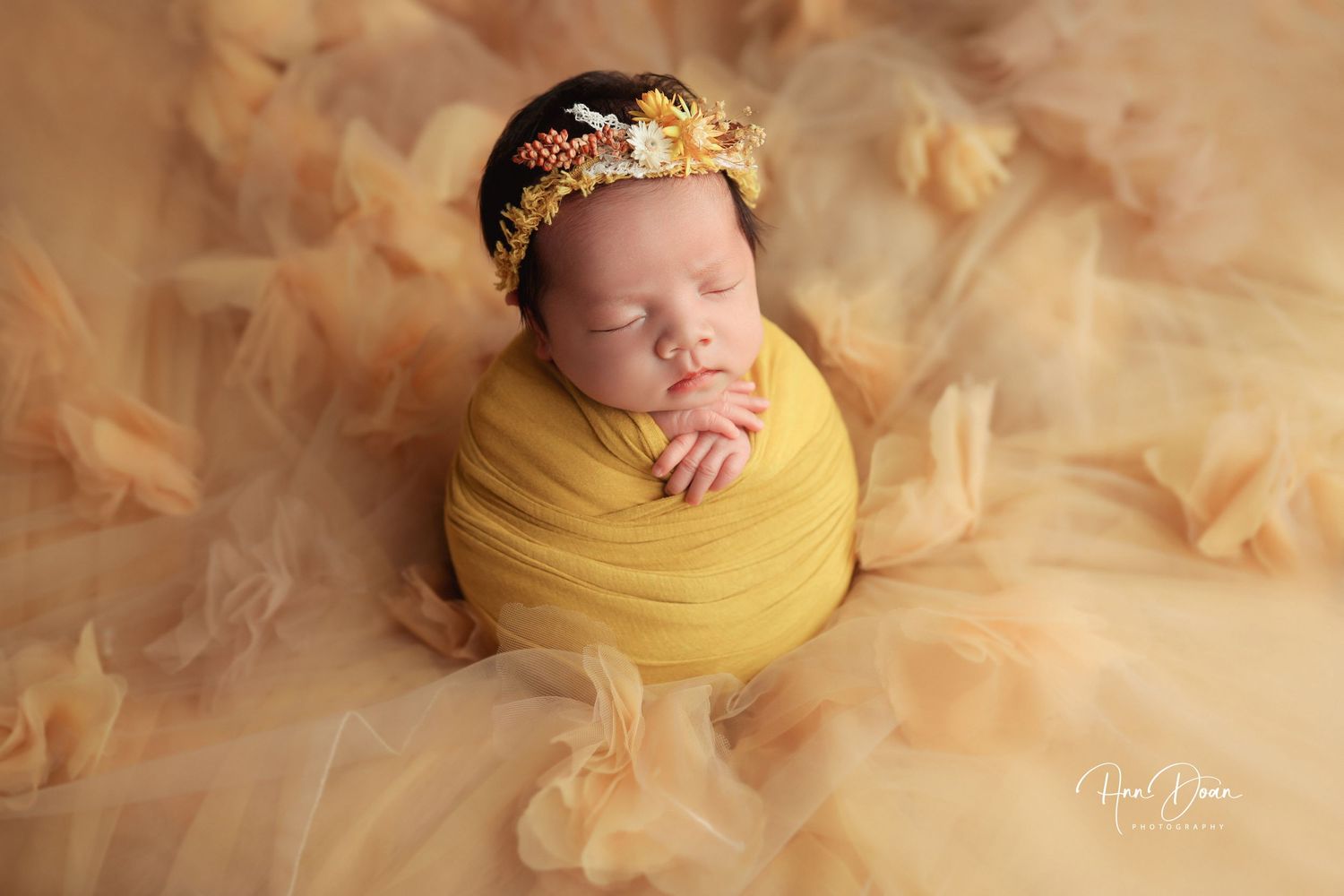 A&K Corner Photography by Ann Doan