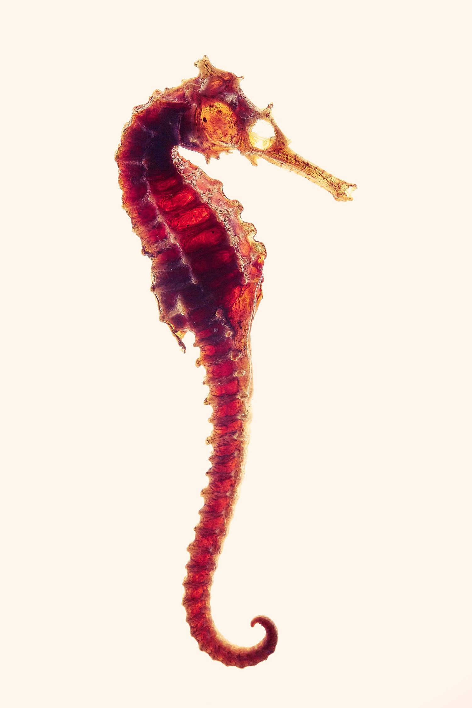 01 - Mark Edwards Studio