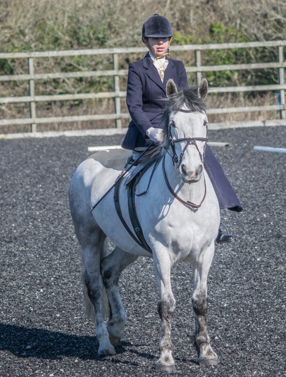 The Gower Riding Club